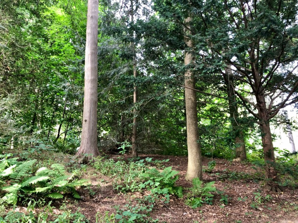 Camden Public Library | Camden Public Library