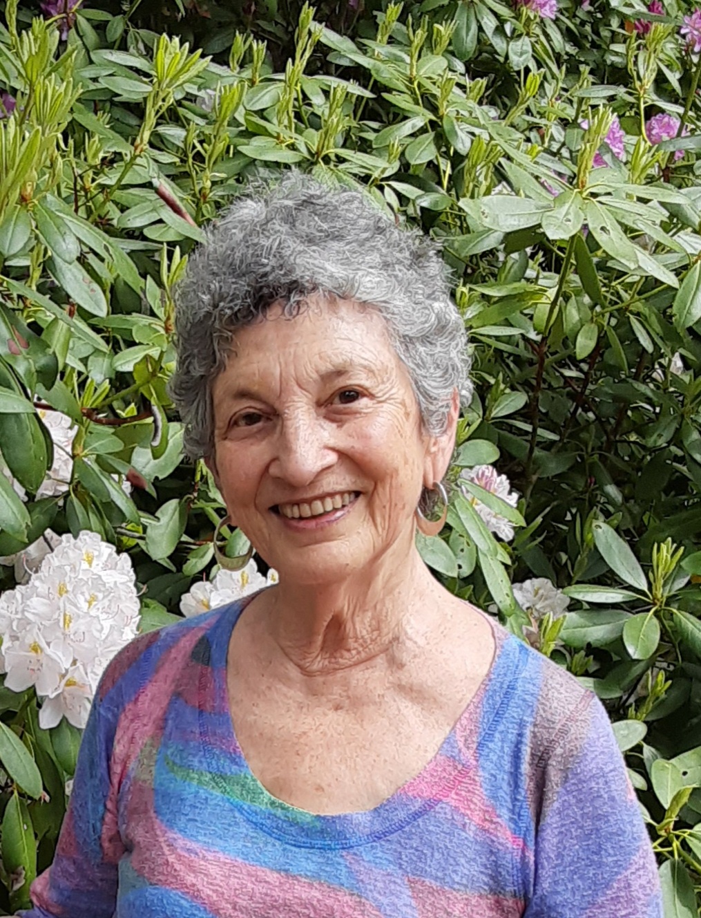 Events for November 2024 | Camden Public Library