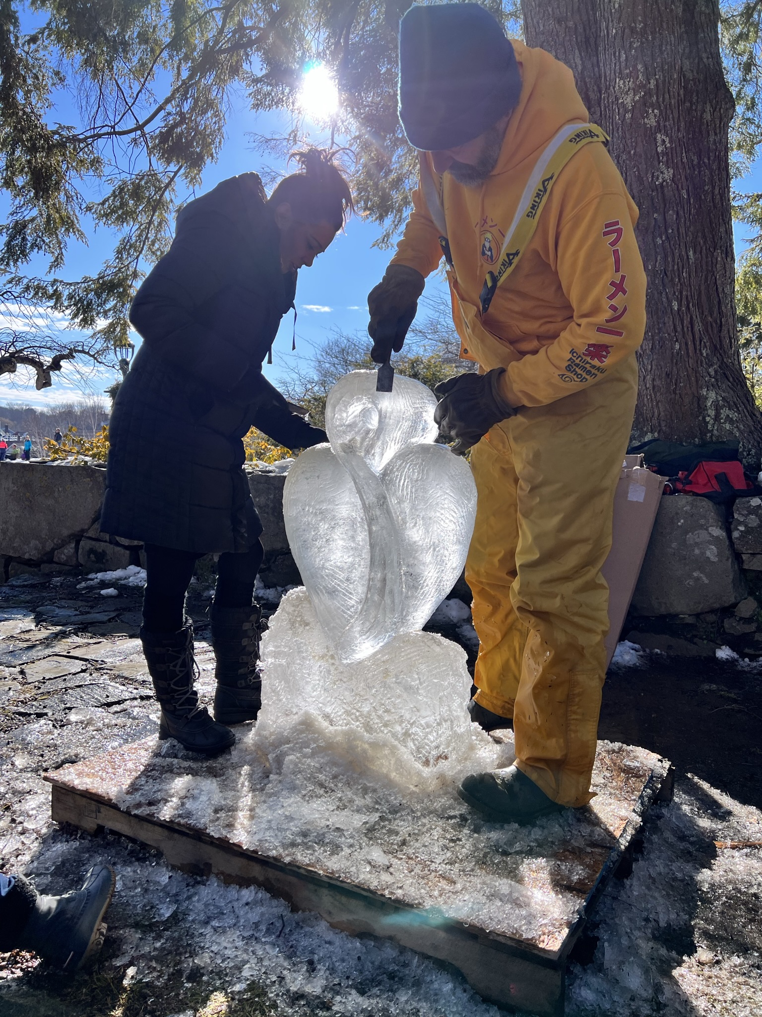 Sign Up Now for Winterfest Ice Carving! | Camden Public Library