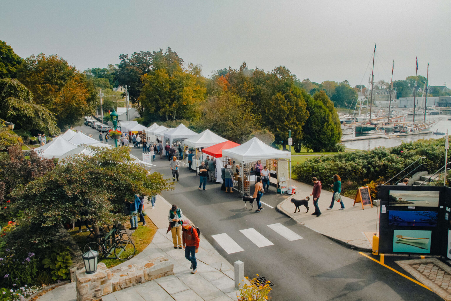 Harbor Arts Summer 2025: Meet the Vendors | Camden Public Library